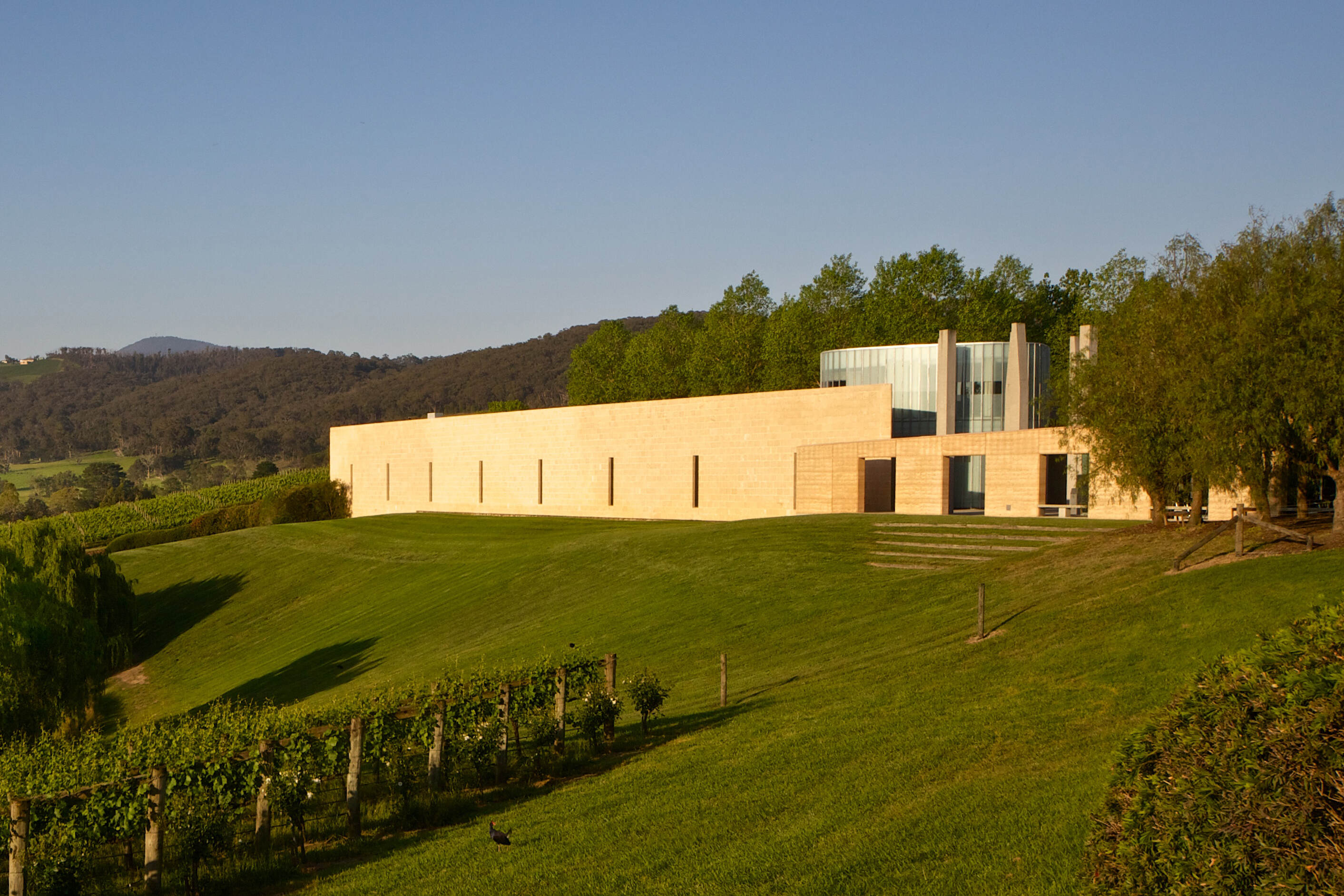 TarraWarra Museum of Art