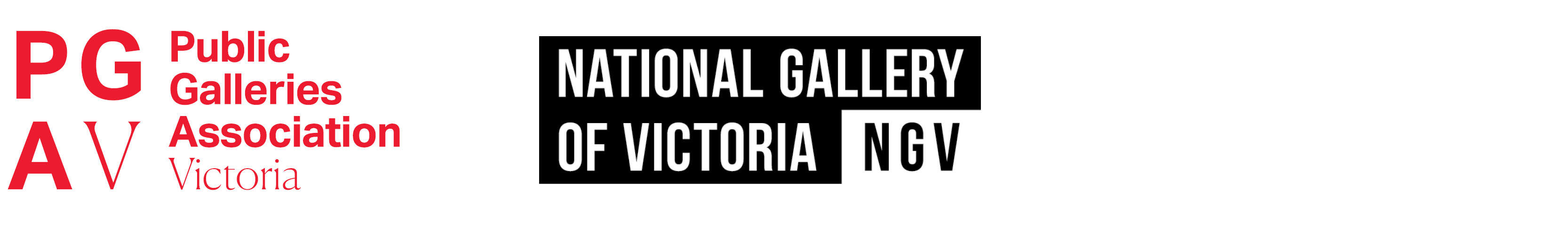 PGAV & NGV Conservation Webinar - Photographs